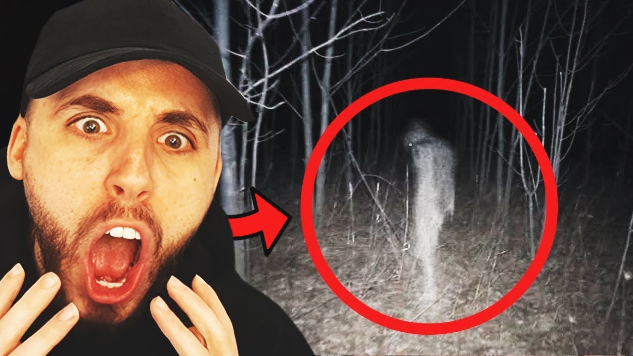 Deeply Scary Things Caught on Camera In the Woods - YouTube