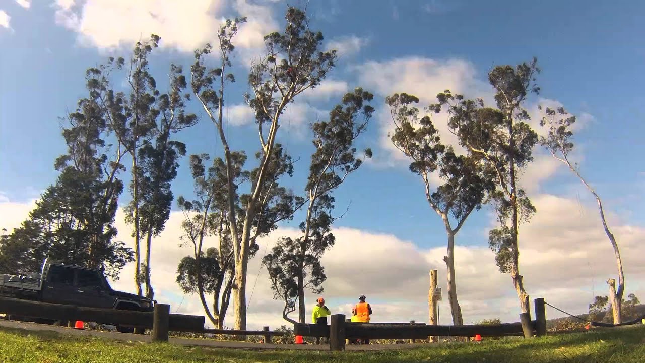Holmesglen Rigging camp - YouTube