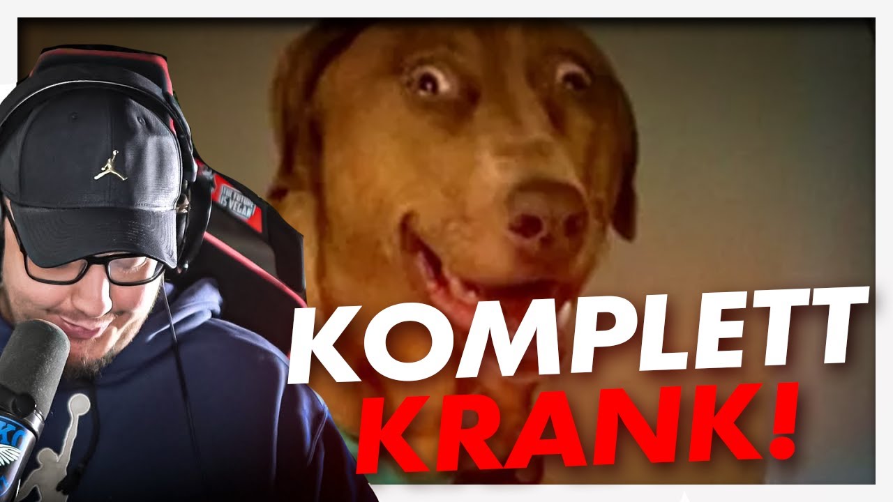 Das WITZIGSTE HUNDE VIDEO des Jahres - YouTube