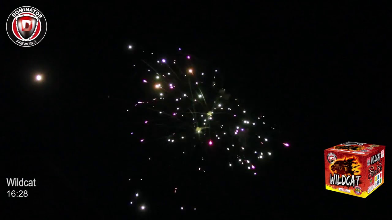 Wildcat 500G Dominator Fireworks - YouTube