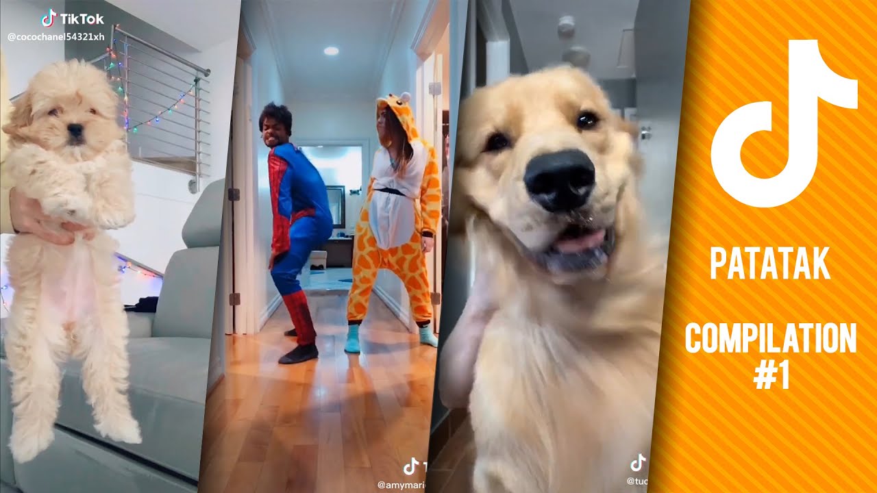 TIK TOK I PATATAK I COMPILATION #1 - YouTube