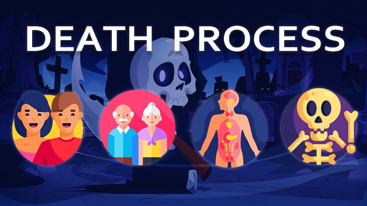 Unpacking The Secrets of the Death Process - You Won't Believe What ...