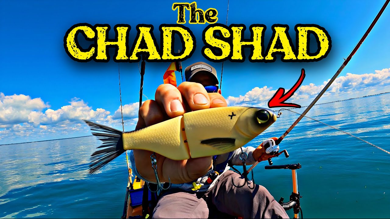 SPRO Chad Shad on the Water Test and Review….is it worth $70? - YouTube