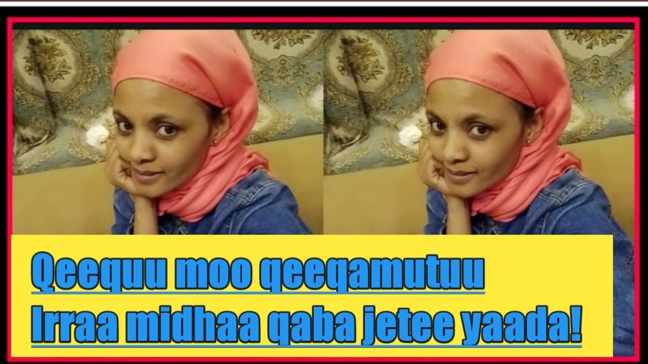 Qeequu moo qeeqamutuu irraa midhaa qaba jetee yaada? - YouTube