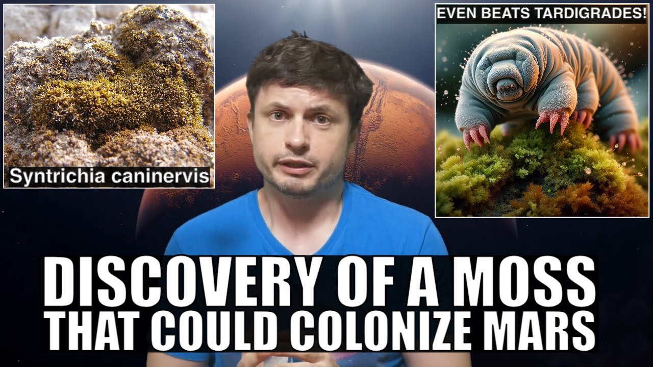 Did We Just Find Moss That Could Terraform Mars? The Immortal Moss ...