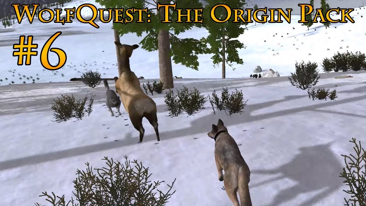 Birth of the Next Generation! | WolfQuest: The Origin Pack #6 - YouTube