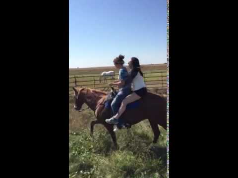 Riding double! - YouTube