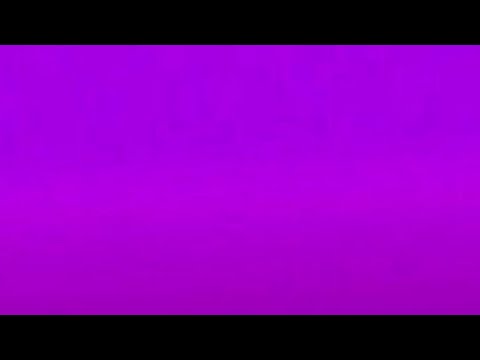 PIRT 2