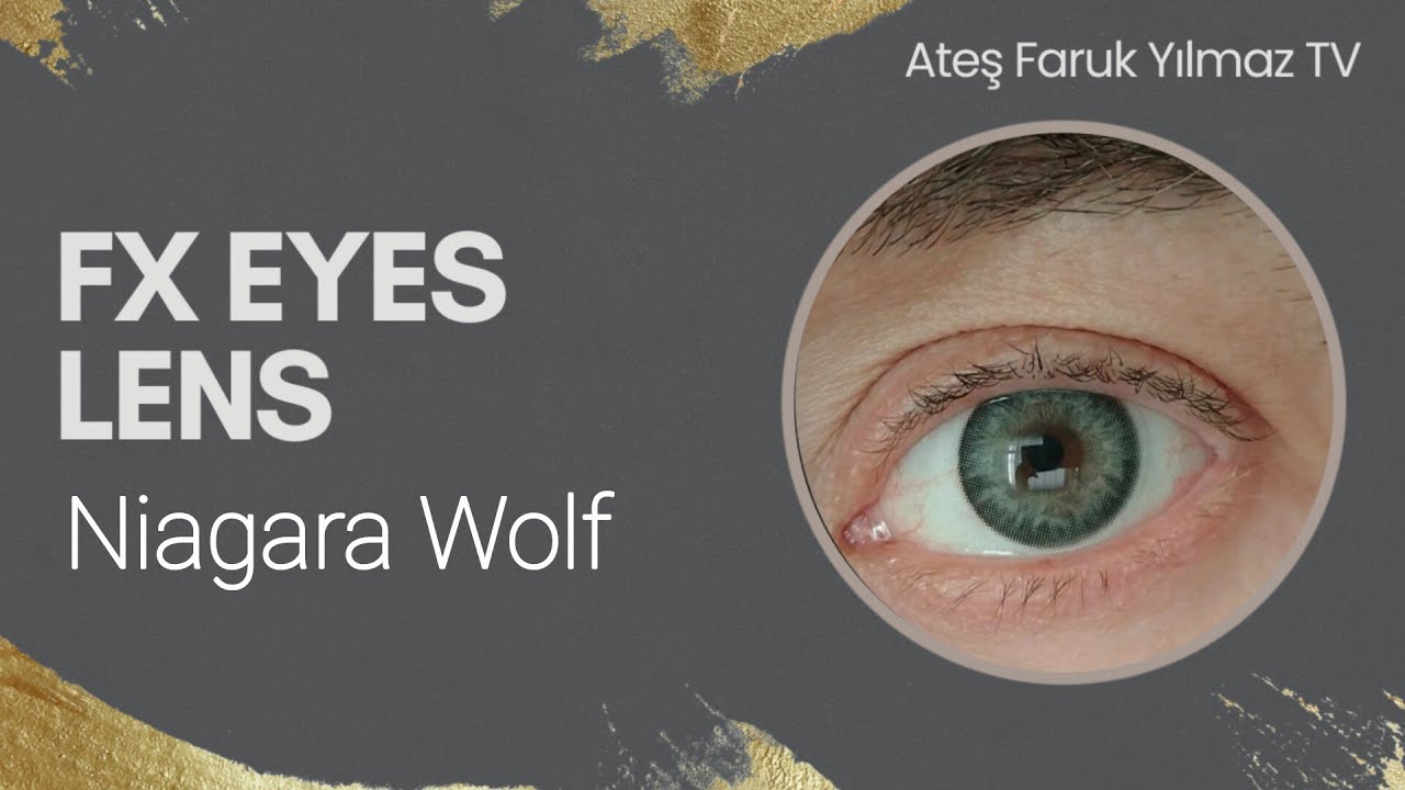 Niagara Wolf Fx Eyes Lens yepyeni lens, - YouTube