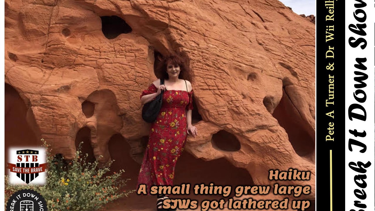 Sarah Braasch - A Deep Dive Into Napping While Black - YouTube