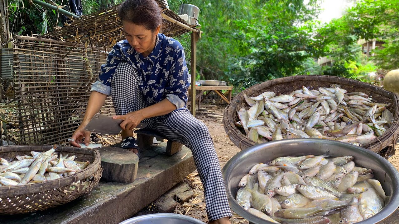 The Villager Preparing 2 huge basket fishes , The Fish Season, Simple ...