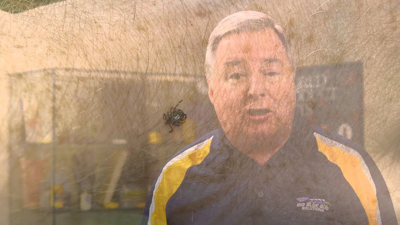 Tony TV (Episode 13) How To Check For Ticks - YouTube