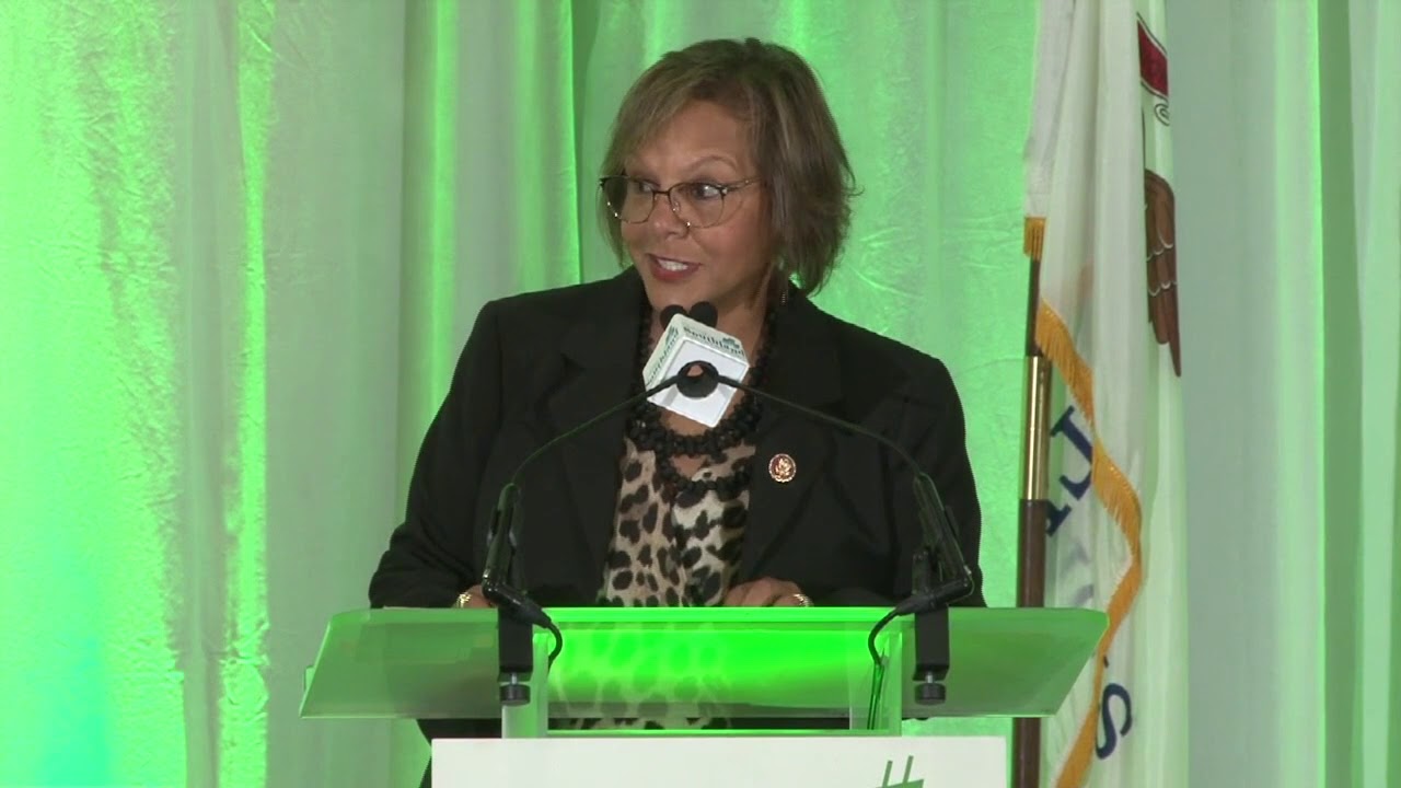 2019 Annual Meeting Congresswoman Robin Kelly - YouTube