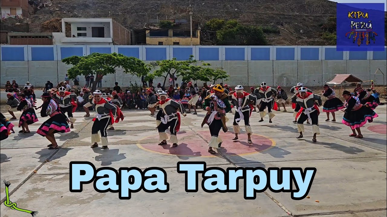 Papa Tarpuy / Cusco / Shimbar Runas ( Concurso de Baila Despertar 2024 ...