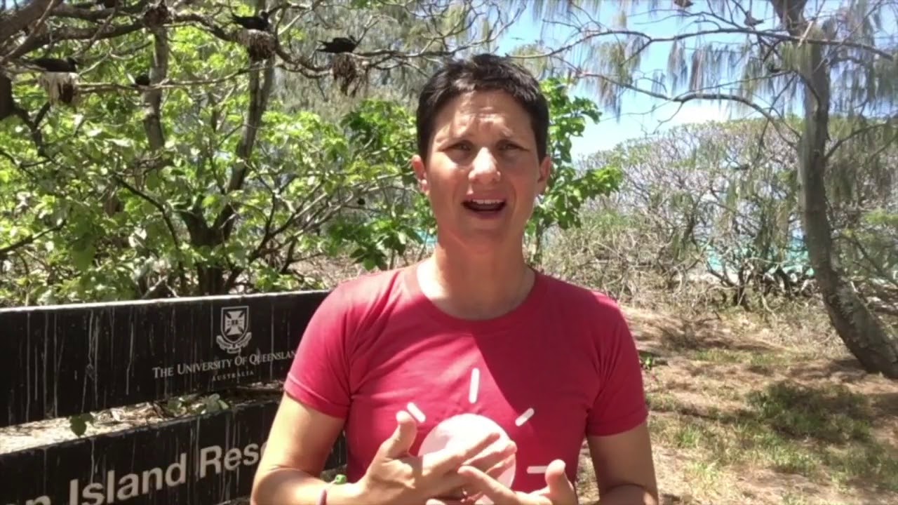 Teacher Intro | A Day in the Life of a Geospatial Scientist - YouTube