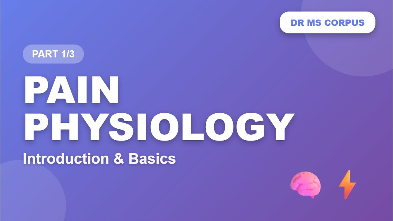 Pain Physiology Part 1: How We Actually Feel Pain(Interactive Guide ...