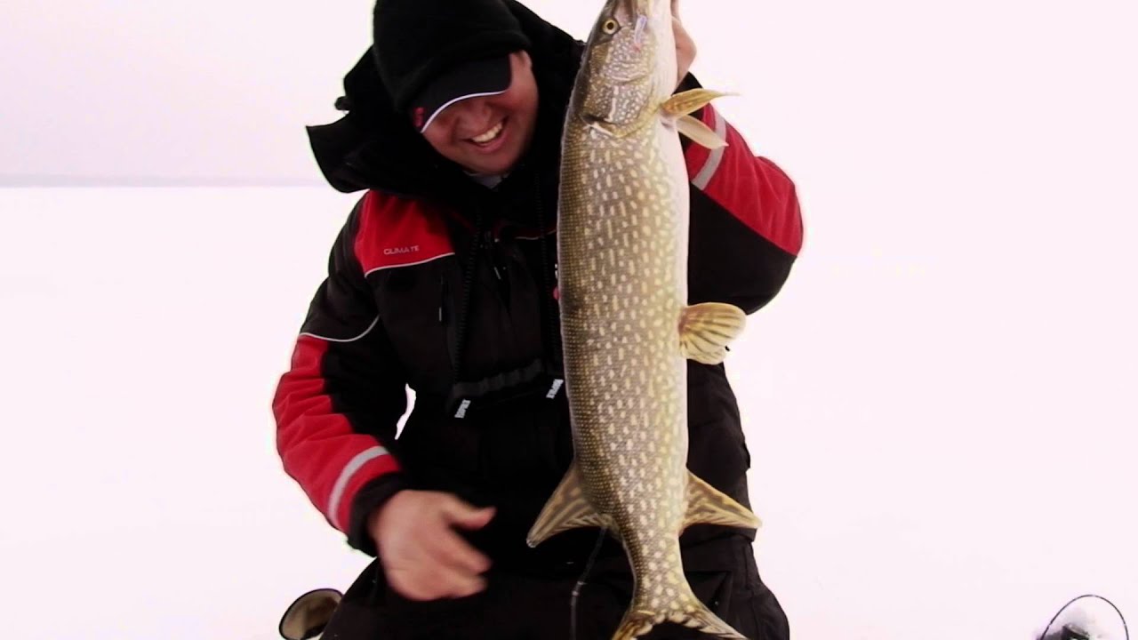Tony Roach Fishing Report January 2016 Mille Lacs Lake - YouTube