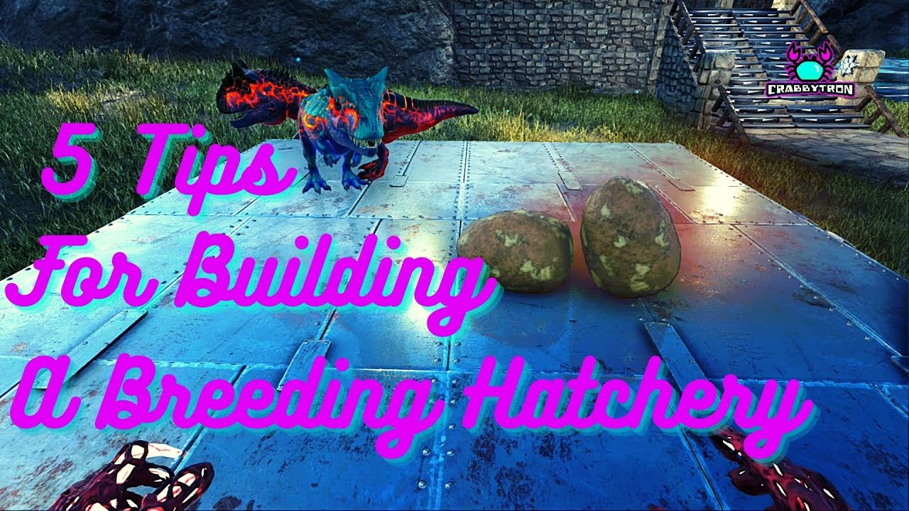 5 Tips for Building A Breeding Hatchery - YouTube