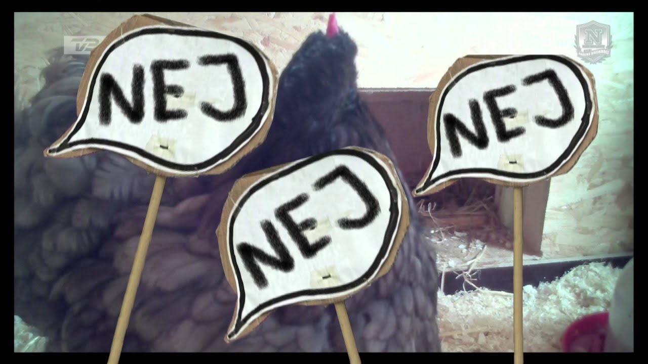 De bedste Nej Nej Nej´er 2013 - YouTube