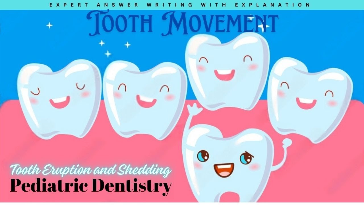 Tooth Movement | Tooth Eruption and Shedding |Pediatric Dentistry #mds ...