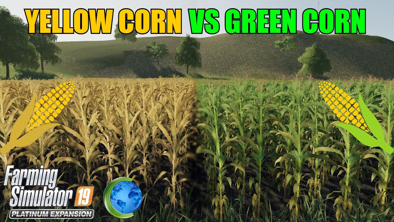 FS19 | Yellow Corn VS Green Corn | Which One Yields More? | Answered ...