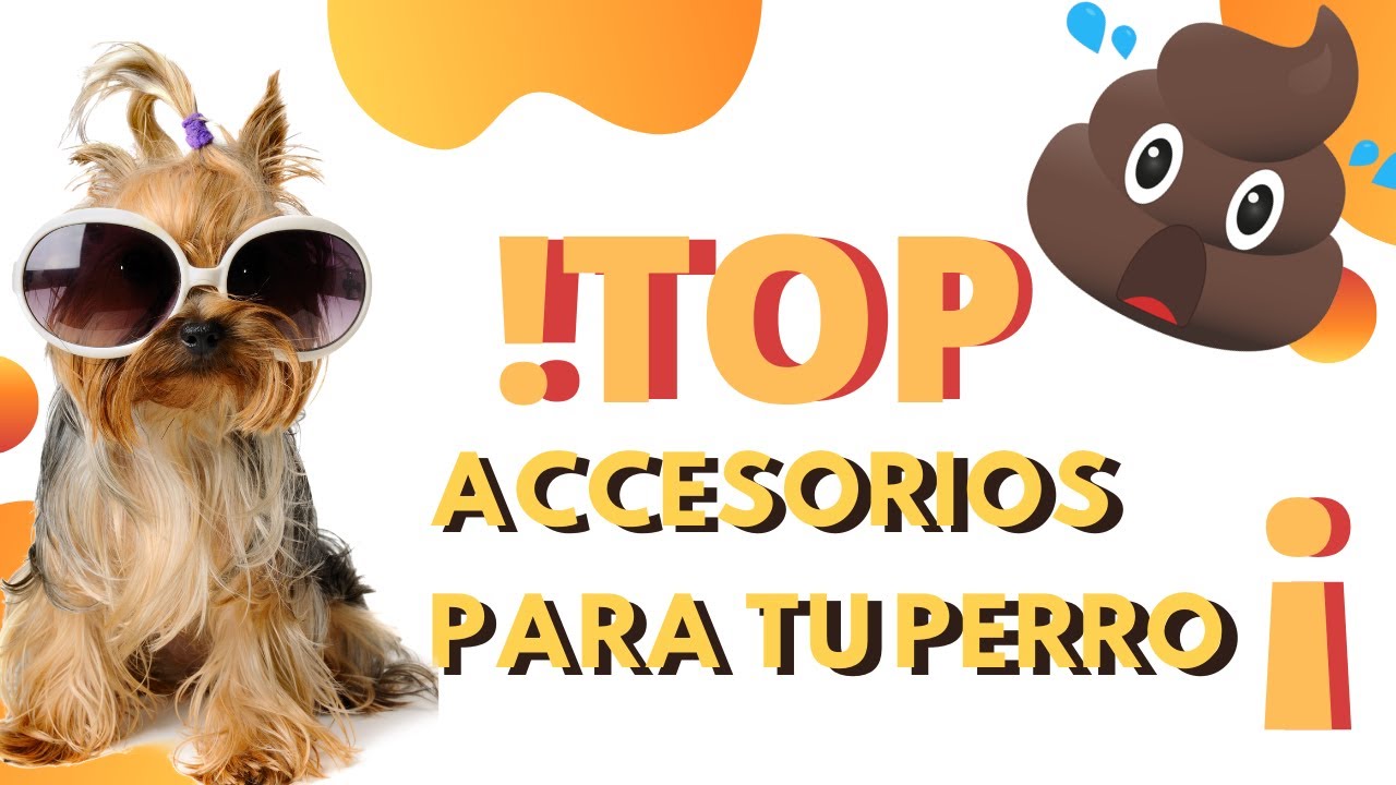 Los MEJORES GADGETS para tener PERROS en CASA (ACCESORIOS AMAZON ...