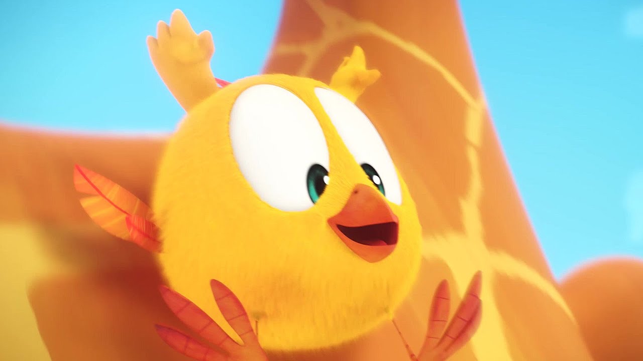 Chicky e os animais | ¿Dónde está Chicky? | Pollito pio | Colección ...