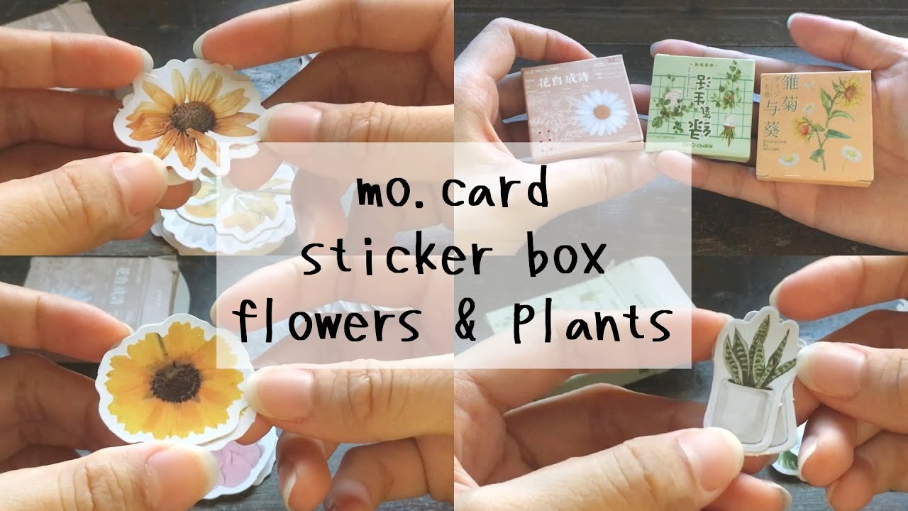陌墨MO.CARD Sticker Box | Beautiful Flowers and Plants - YouTube