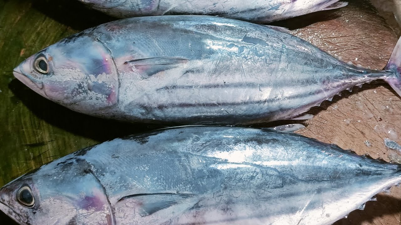 tuna fish cutting skills ( Kera )#share #like #comment #subscribe # ...