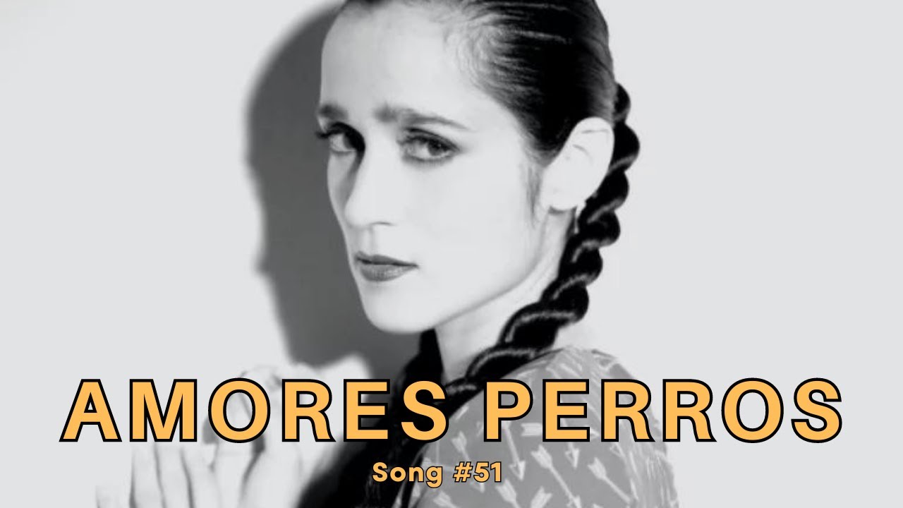 Julieta Venegas - Amores Perros (Me Van a Matar) / English Translation + Lyrics / Letra - YouTube