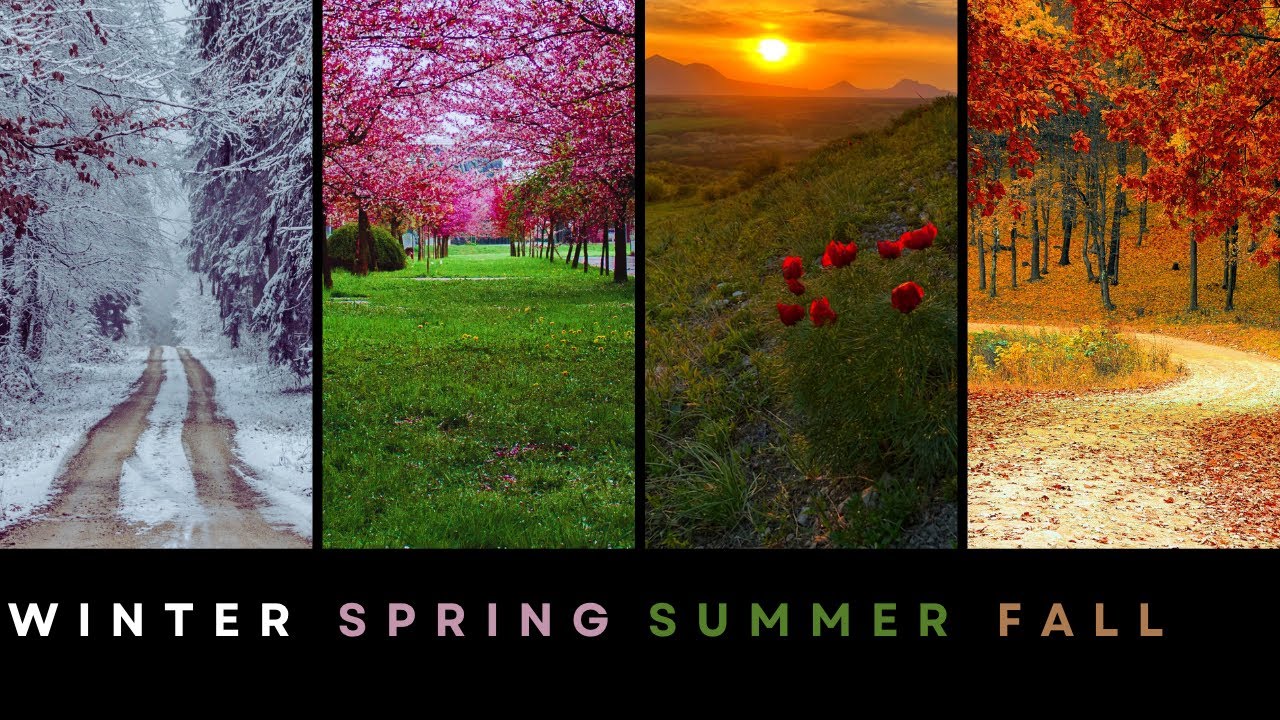 Nature Sounds Four Seasons - YouTube