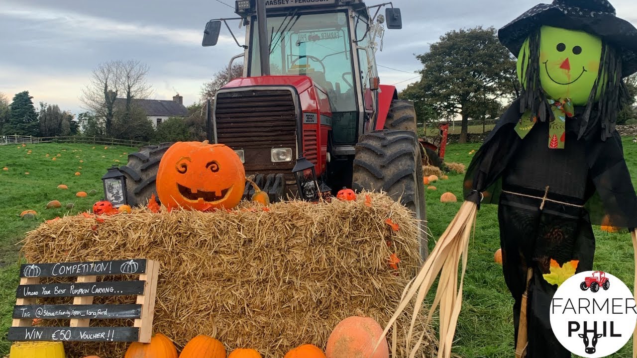 PICK YOUR OWN PUMPKIN 2021 | STEWART FAMILY FARM | Farmer Phil | The ...