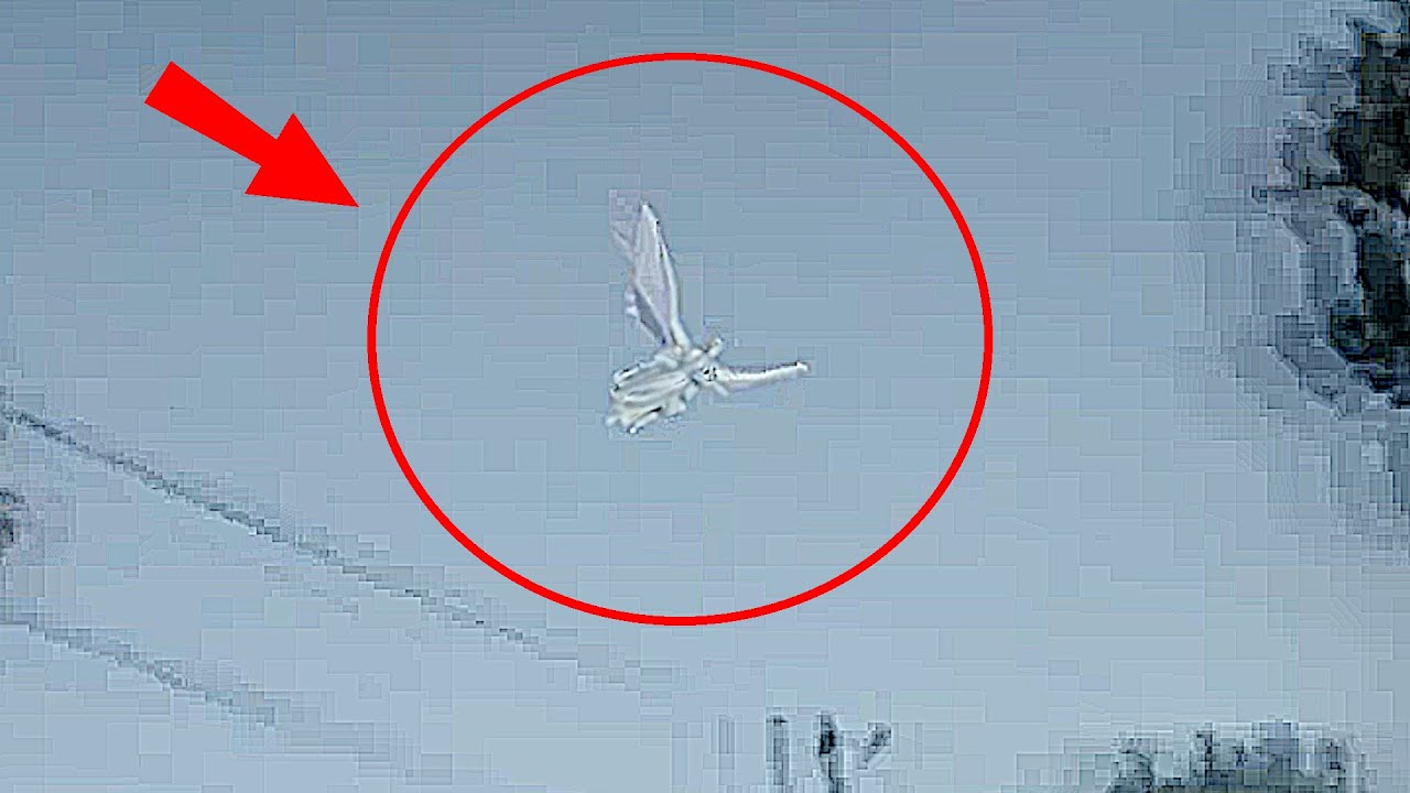 REAL ANGEL CAUGHT ON CAMERA SHOCKS ENTIRE UNIVERSE!! - YouTube