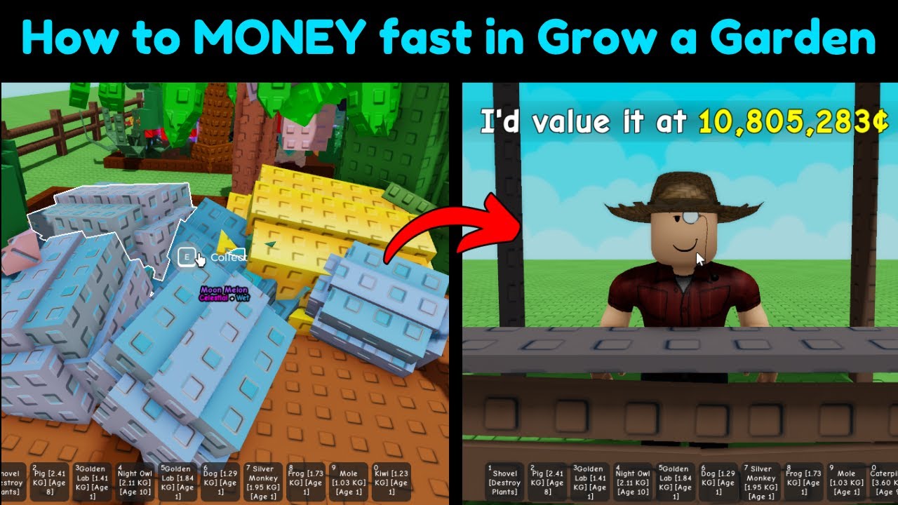EASY way to get MONEY in Grow a Garden Roblox (Best Farming Guide ...