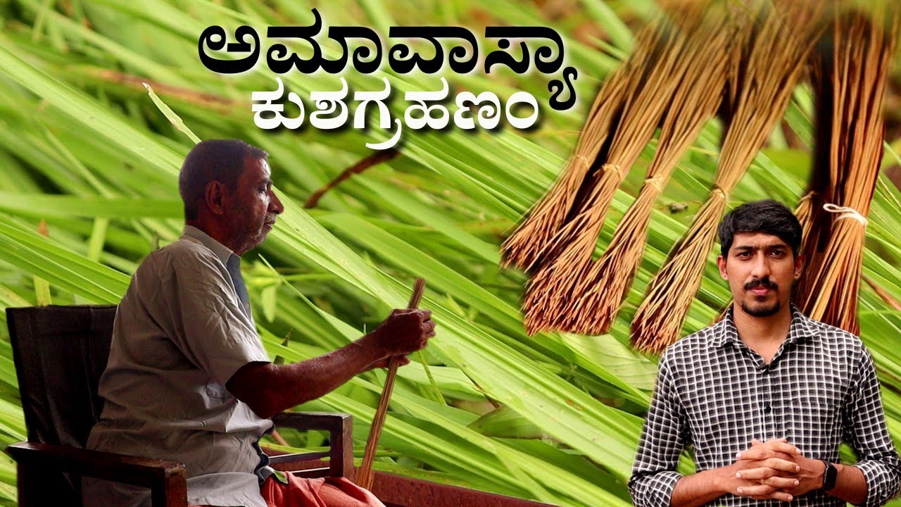 Process of traditional Darbha | ಸಾಂಪ್ರದಾಯಿಕ ದರ್ಬೆ ಪರಿಷ್ಕರಣೆ | - YouTube