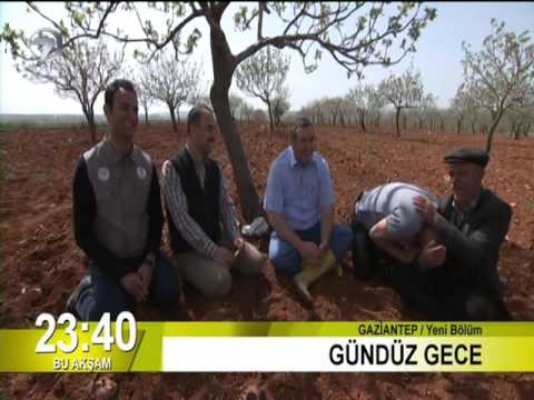 Gündüz Gece - Gaziantep - 28 Mayıs Tanıtım