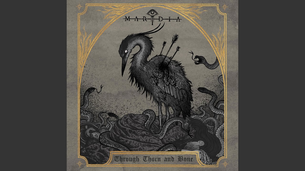 Through Thorn and Bone - YouTube