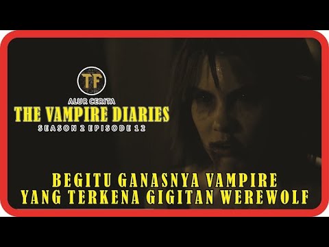 TAK ADA VAMPIRE YANG BISA SELAMAT KETIKA TERGIGIT WEREWOLF || ALUR ...