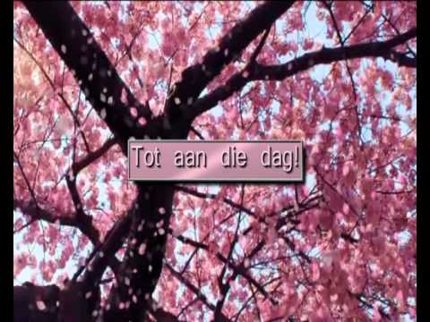 Ooit komt er een dag - Opwekking 665 (lyrics) - YouTube