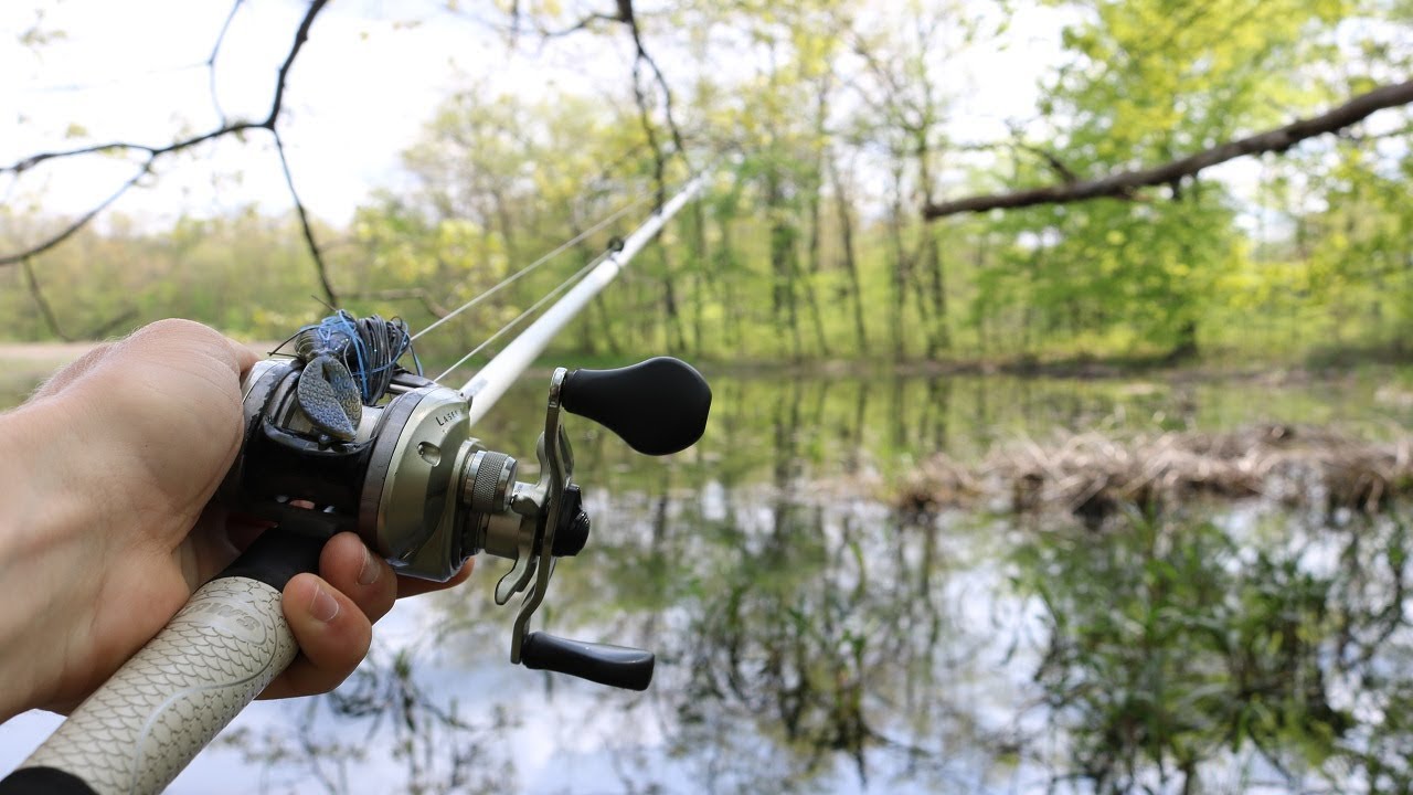 Sight Fishing SHALLOW Swamps for Bowfin - YouTube