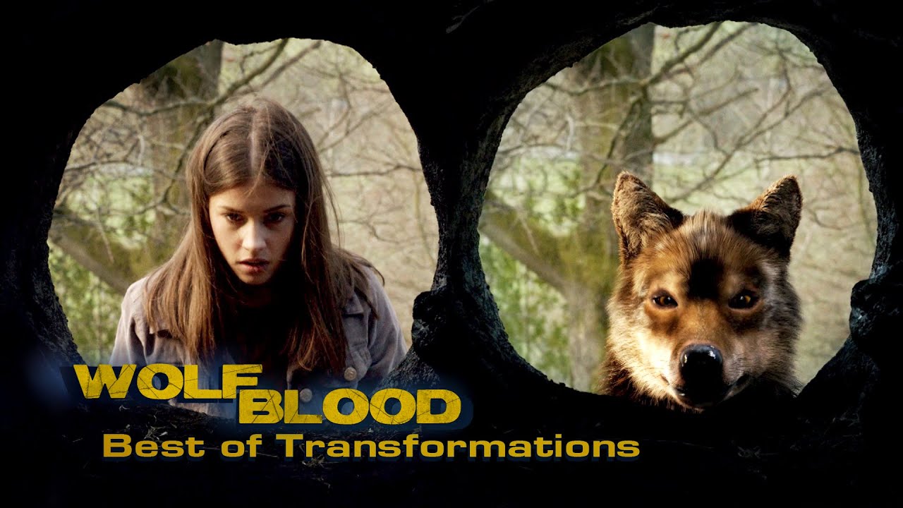 Best of Transformations 2.0 🐺 | Special | Wolfblood - YouTube