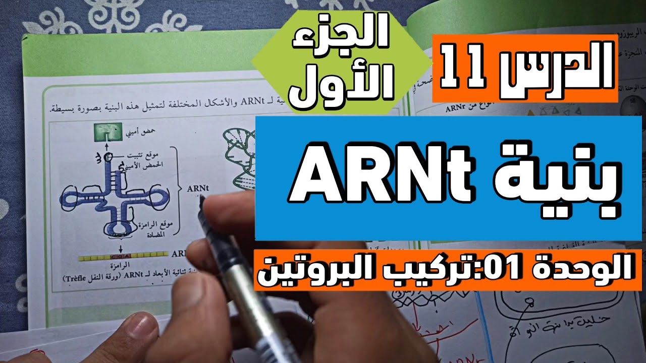 الدرس 11 | بنية ARNt | الجزء 01 | الوحدة الأولى تركيب البروتين - YouTube