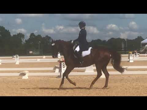 20200823 VADA-NOVA Summer Wind-Down 2 Doha PSG - YouTube