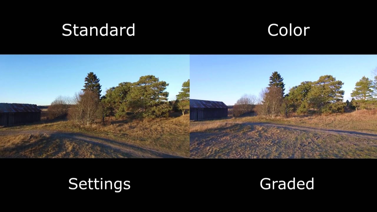 Log color grading vs standard color camera setting - YouTube