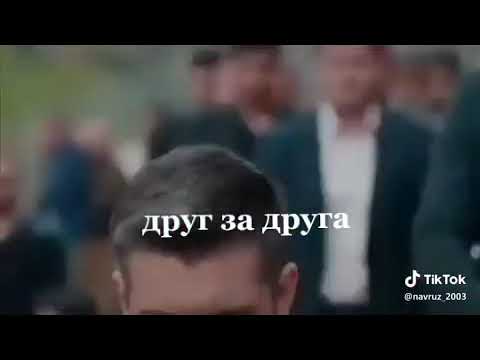 Çukur aye