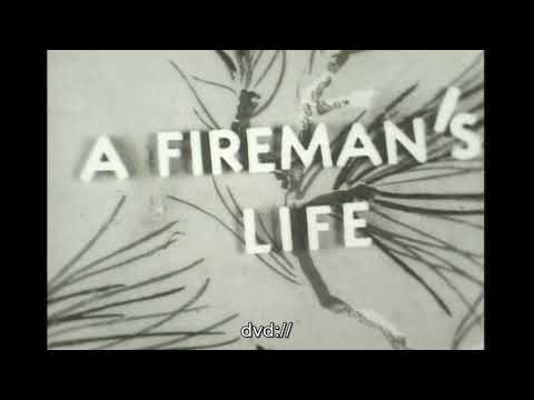 opening to giant 600 cartoon collection disc 5 2016 DVD