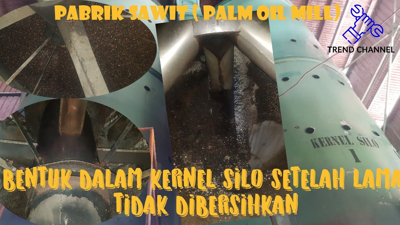 PENAMPAKAN DALAM KERNEL SILO SETELAH LAMA TIDAK DI BERSIHKAN. - YouTube