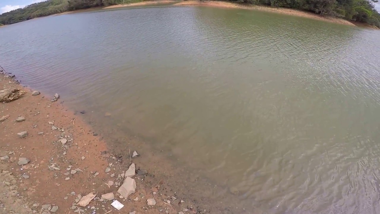 Lago de Cidra - YouTube