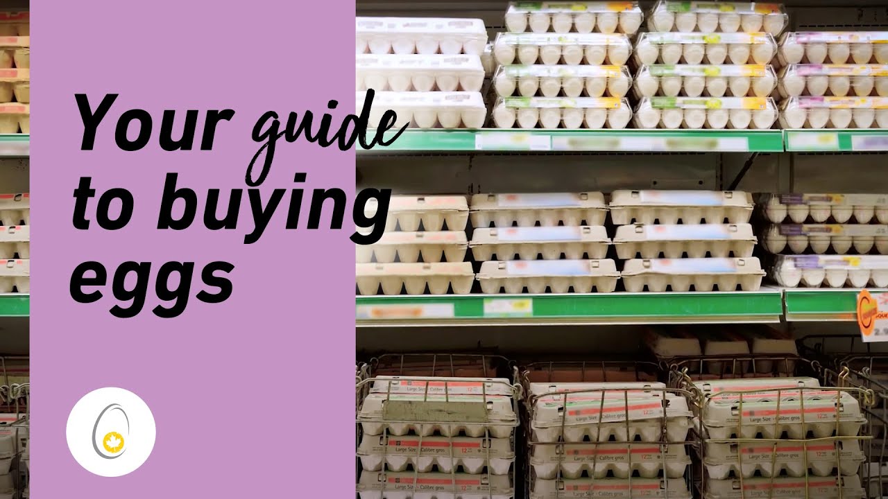 Your guide to buying eggs - YouTube