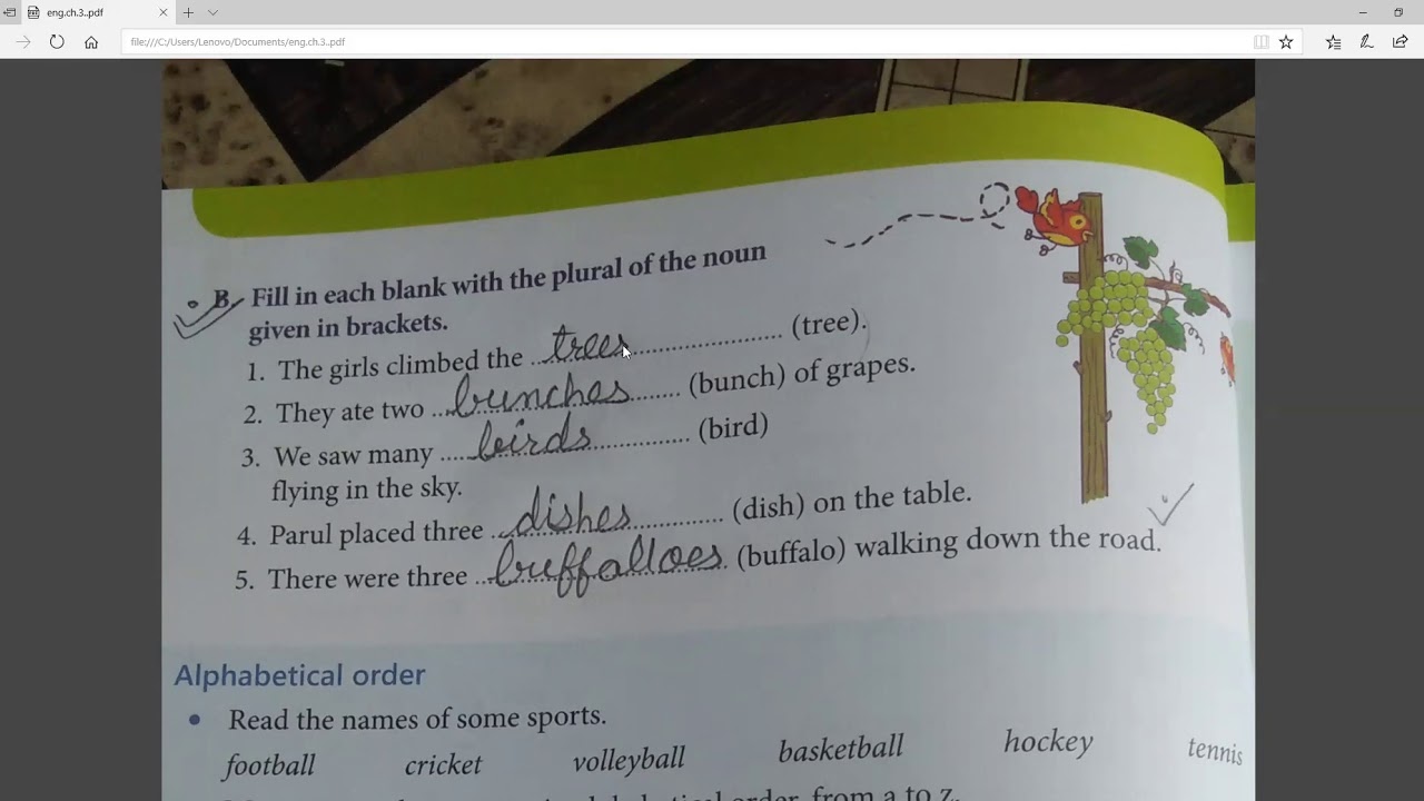 CLASS 2 ENGLISH CHAPTER 3 BOOK ACTIVITY - YouTube